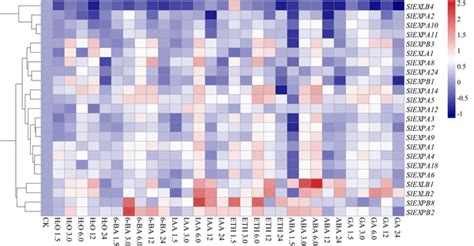 Expression Patterns Of Tomato Expansin Genes Following Exogenous Download Scientific Diagram