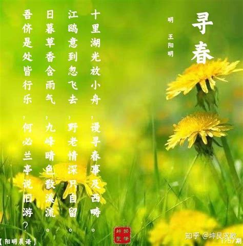 阳明晨语1757期 寻春 知乎