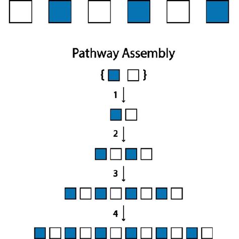 The Pathway Assembly Process Centre 13 Is Compared To Download