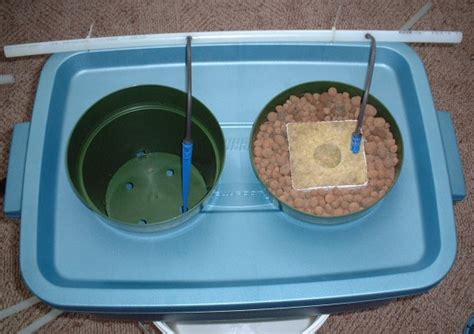 Do It Yourself DIY Hydroponics Systems Hydroponics Blog Hydroponics Articles Hydroponics