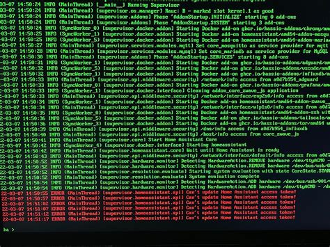 help can t update home assistant access token configuration home