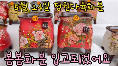 2025년 5월 24일 오래 기다려주신 봄봄화분 드디어 가마가 열렸습니다 정원다육화분 봄봄화분 다육화분 예쁜화분 수제