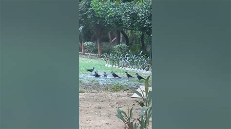 एच।दूसरे।से।जैसे।कुछ।कह।रहे।ह् Youtube