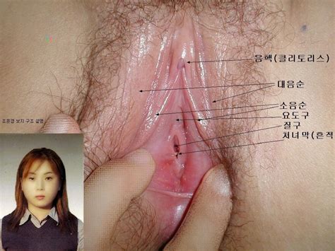 Korean Woman Pussy 야사 연예인 합성조윤경 보지사진 내부구조 자세히 New Porn Pic Eporner