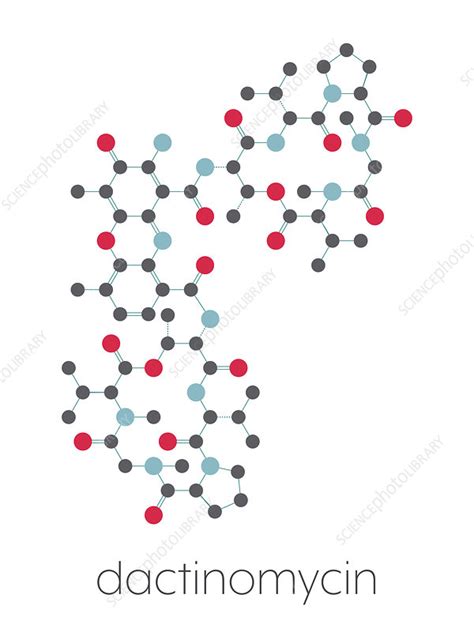 Dactinomycin Cancer Drug Illustration Stock Image F028 2512 Science Photo Library