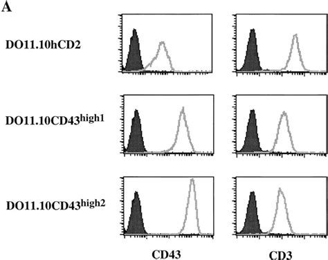 High Level Expression Of Cd43 Protects T Hybridoma Cells From Aicd A Download Scientific