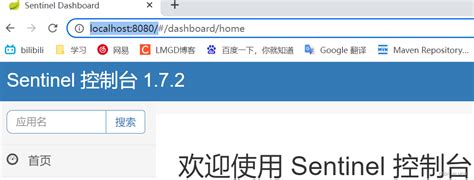 Sentinel 是什么sentinellm Csdn博客 Sentinel 是什么sentinellm Csdn博客