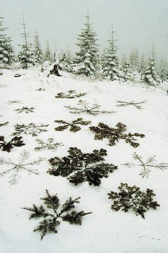 Сніжинки з ялинкового гілля та шишок 20 нових ідей Моє домашнє натхнення