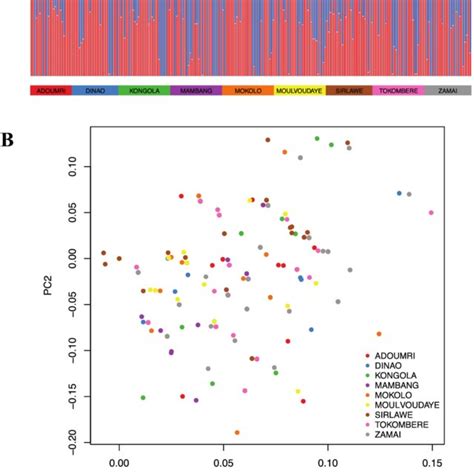 Results Of Hierarchical Population Structure Analyses Of Genetic Download Scientific Diagram