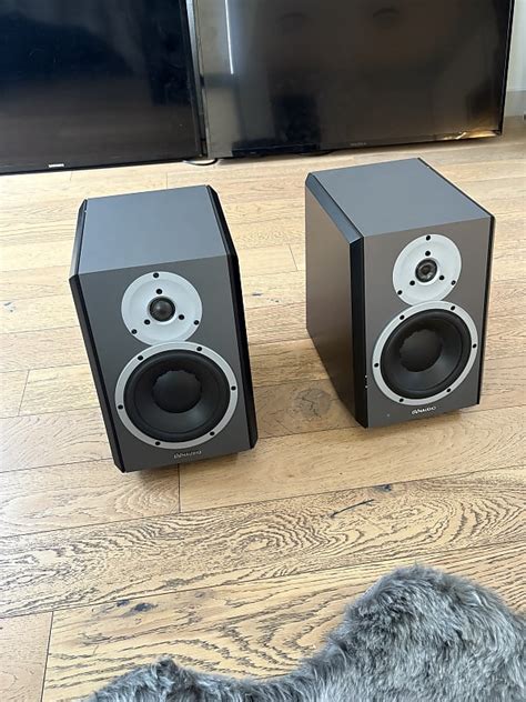 Dynaudio Dbm50 2010s Yes Reverb