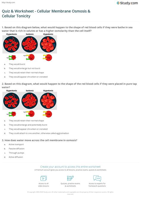 Quiz And Worksheet Cellular Membrane Osmosis And Cellular Tonicity