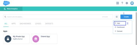 Salesforce Wave Analytics Cloud