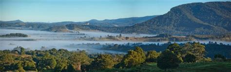 Nimbin Valley Dairy Contact Us Today About Award Winning Dairy Products