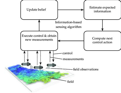 Components Of A Closed Loop Information Based Sensing Algorithm For