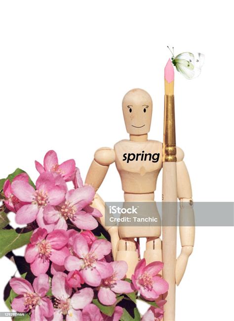 브러쉬를 곁들인 나무 남자 브러쉬 끝에 나비 흰 배경에 고립 된 붉은 꽃으로 피는 사과 나무 0명에 대한 스톡 사진 및 기타 이미지 Istock