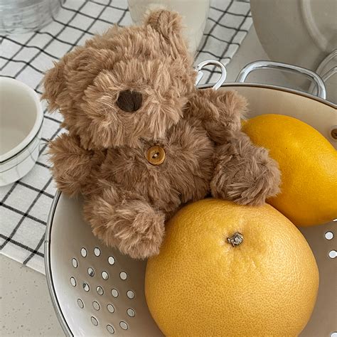 당일출고 빅 브라운 곰돌이 인형 에어팟케이스 에이블리