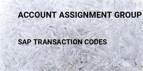 Account Assignment Group In Customer Master Tcode In Sap Transaction Codes List