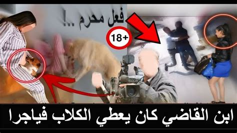 ابن قاضي مغربي صور أفلام جنس حيوانات مع بنات من الخميسات اعطى كلب