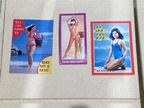 40여년 전 북한에 뿌린 삐라들 