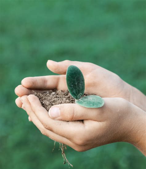 Biomass Power Plant Orc Turbine Exergy