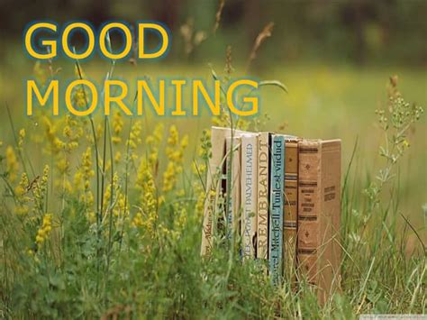 Angles Class Ii Malocclusion Pptx