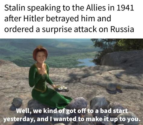 Making A Meme From Every Line In Shrek 2001 Day 452 Rshrek