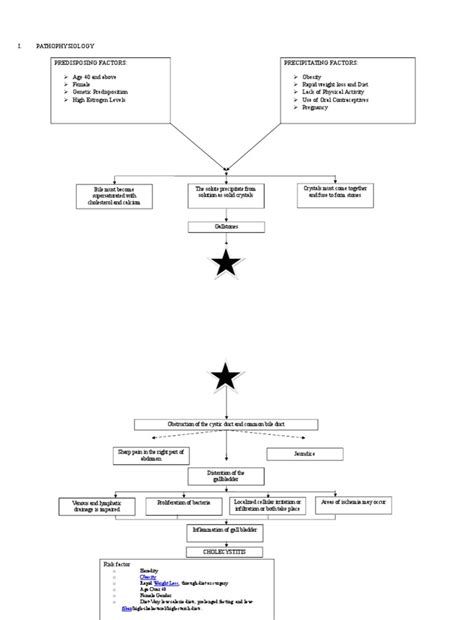 Patho Cholecystitis Pdf