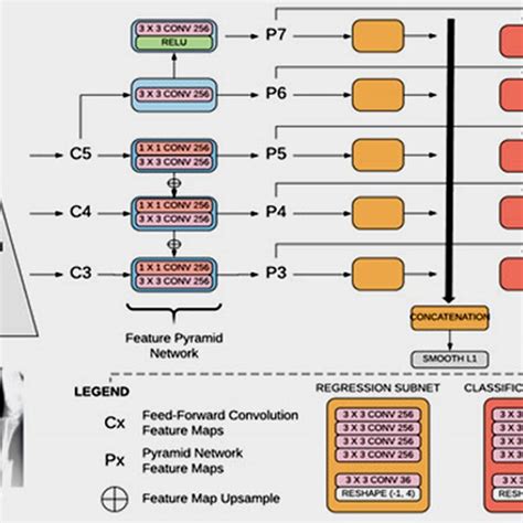 An Example Of A True Positive Prediction Red Square Of A Radial