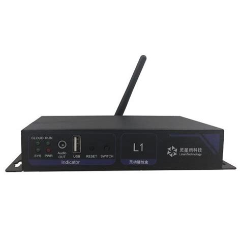 Linsn L1 Asynchronous LED Display Player LedControlCard Com