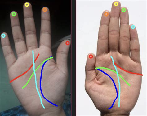 Our Ai And Data Science Case Studies Requestum