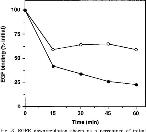 Figure 3 From Differential Signaling And Regulation Of Apical Vs Basolateral Egfr In Polarized