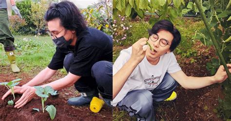 【藤井風スタジアムライブ】風といっしょに、野菜たべよ🥕｜チェルシー