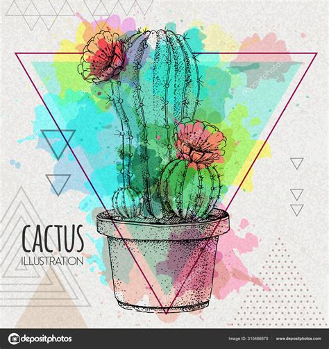 Ilustración De Cactus En Acuarela Conjunto Con Cactus De Acuarela Y