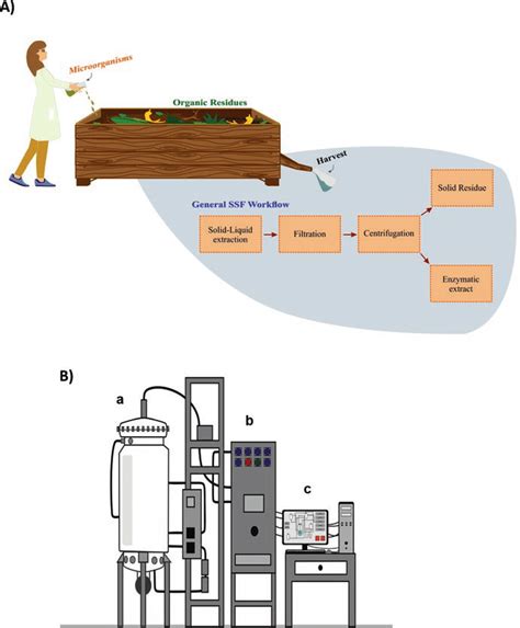 6 Microbial Production Of Enzymes Under Solid State Fermentation Ssf Download Scientific
