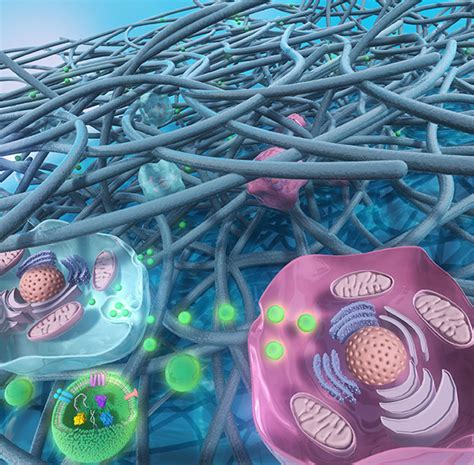 Scientific Cover Picture Illustration Services Biotechnology