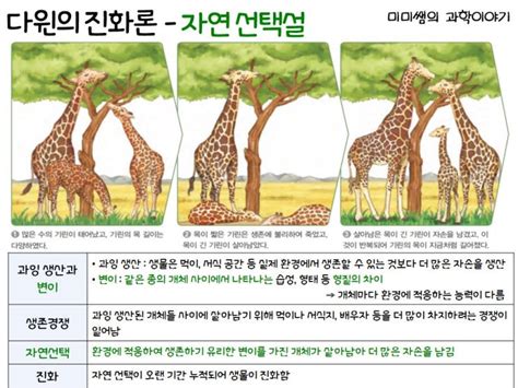 수업계획 자연 선택과 생물의 진화 다윈의 진화론 변이와 자연 선택 등 네이버 블로그
