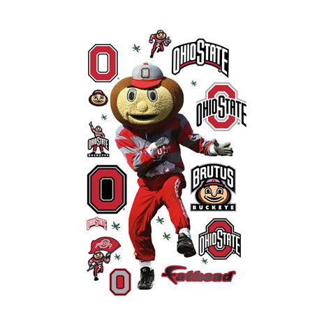 Brutus Buckeye Cartoon