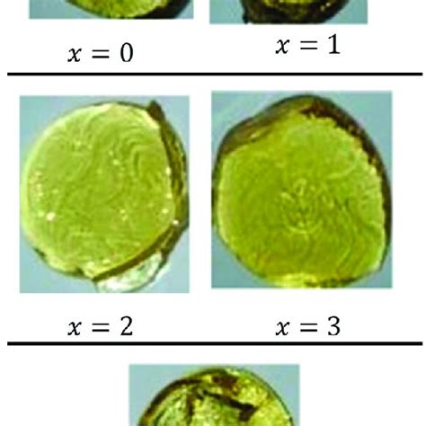 The Obtained Glass Samples Download Scientific Diagram
