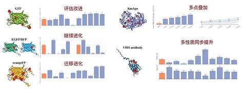 洪亮团队在生信期刊jcim发布最新成果，蛋白质工程迈入通用人工智能时代 近日，天鹜科技创始人and首席科学家洪亮教授团队，在生物信息学和人工智能研究领域的国际权威学术期刊jcim（jour 雪球