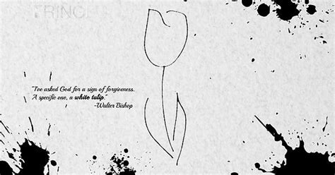 Nothing Has Been Able To Fill The Void Fringe Has Left In My Soul Since