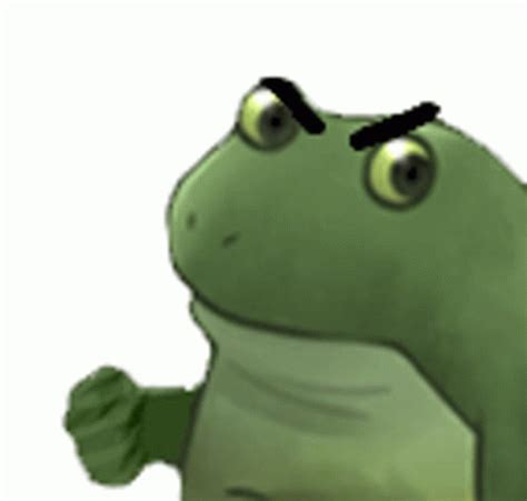 Frog Angry  Frog Angry Mad Discover And Share S