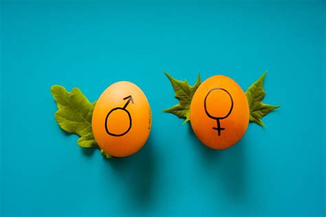 Ivf Gender Selection—costs Countries And Success Rates