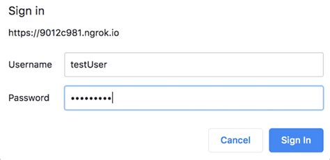 How To Use Ngrok Ngrok In Spring Boot And Nodejs Based Application