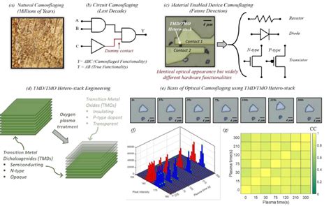 Camouflaged Two Dimensional 2d Heterostructure For Hardware Download Scientific Diagram
