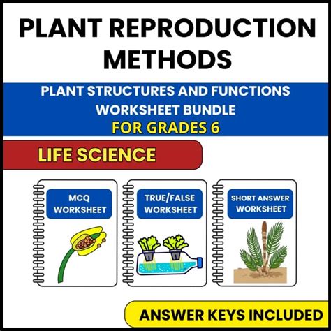 Plant Reproduction Methods 3 Worksheets Grade 6 By Simply Growth