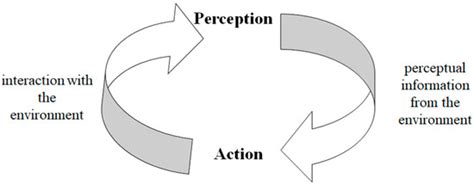 Perception And Action Introduction To Sensation And Perception