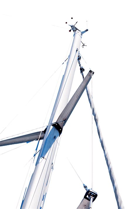 Foque Png Vectores Psd E Clipart Para Descarga Gratuita Pngtree