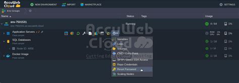 how to access custom container via ssh accuweb cloud