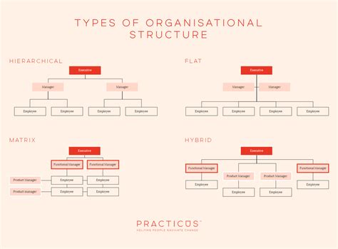 Organisational Design Practicus