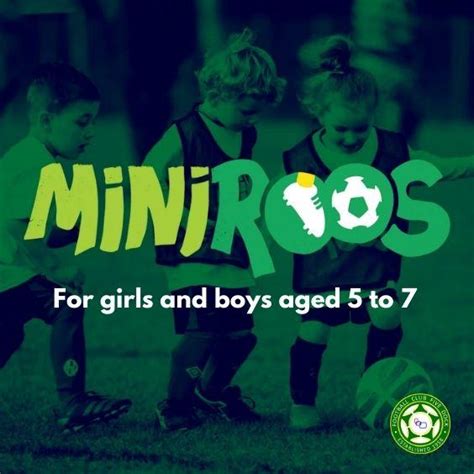 Miniroos Summer Program Fc Five Dock
